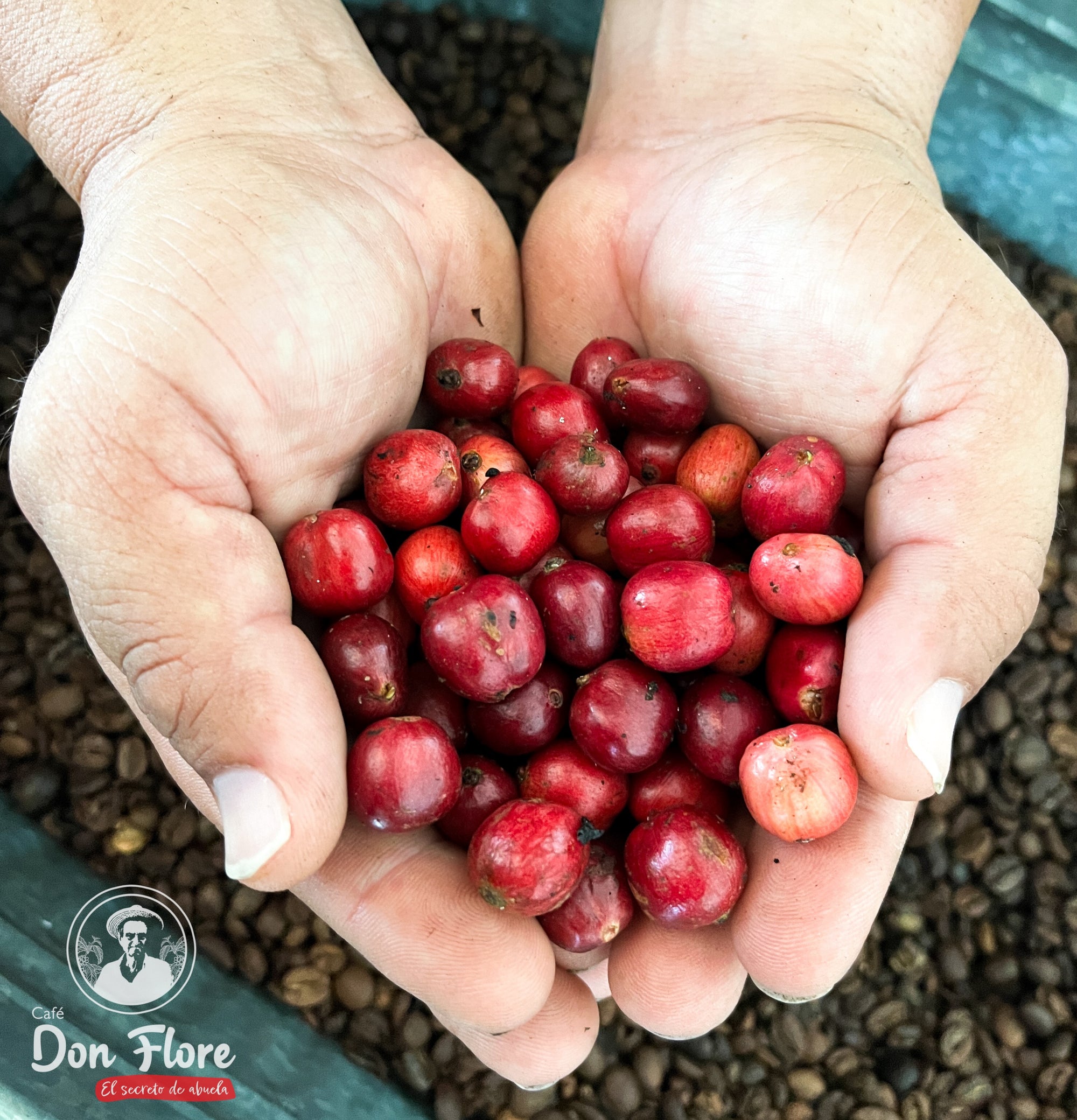 Café Don Flore | Café Premium, Miel y Productos de Temporada