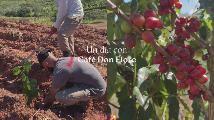 Café Don Flore | Café Premium, Miel y Productos de Temporada